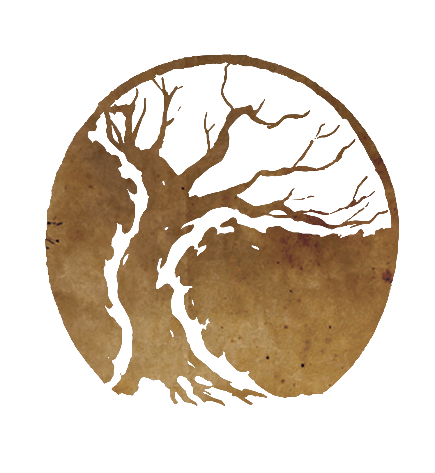 Nords | Para Bellum Games